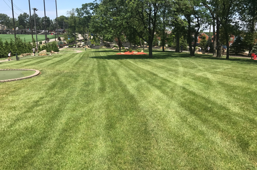Customer Testimonial: Woehler Landscaping | Foliar-Pak