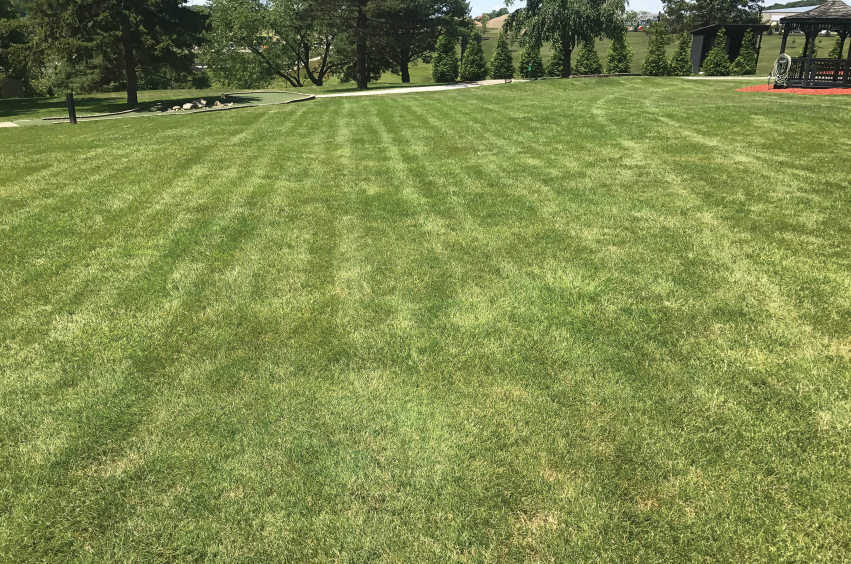 Customer Testimonial: Woehler Landscaping | Foliar-Pak