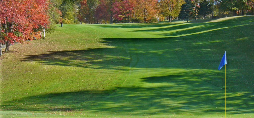 How to Prepare for Fall and Assess Your Soil | Foliar-Pak
