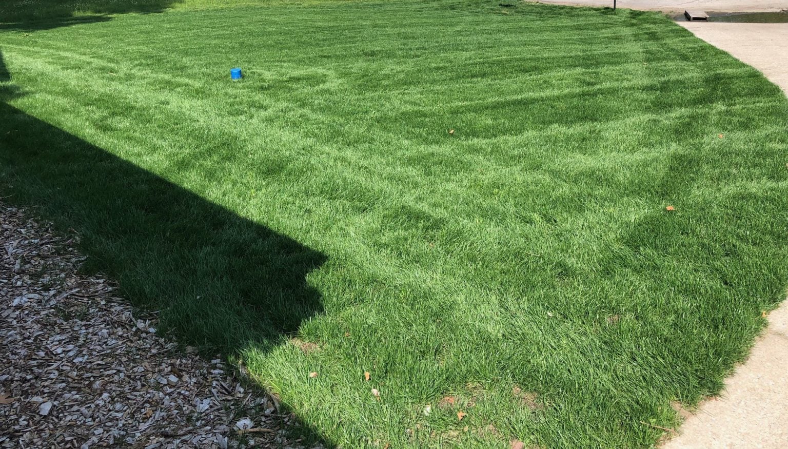 All About Grow-In | Foliar-Pak