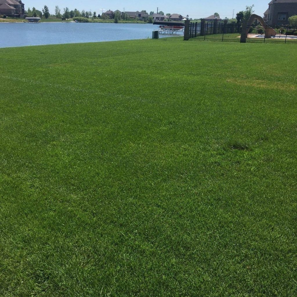 All About Grow-In | Foliar-Pak