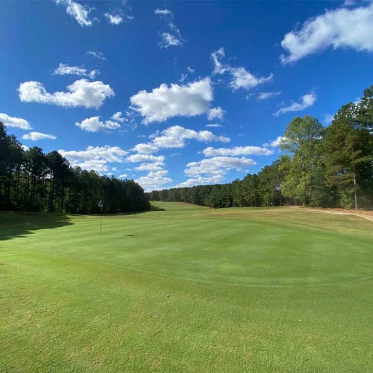 Foliar-Pak CSi L Product Information | Foliar-Pak