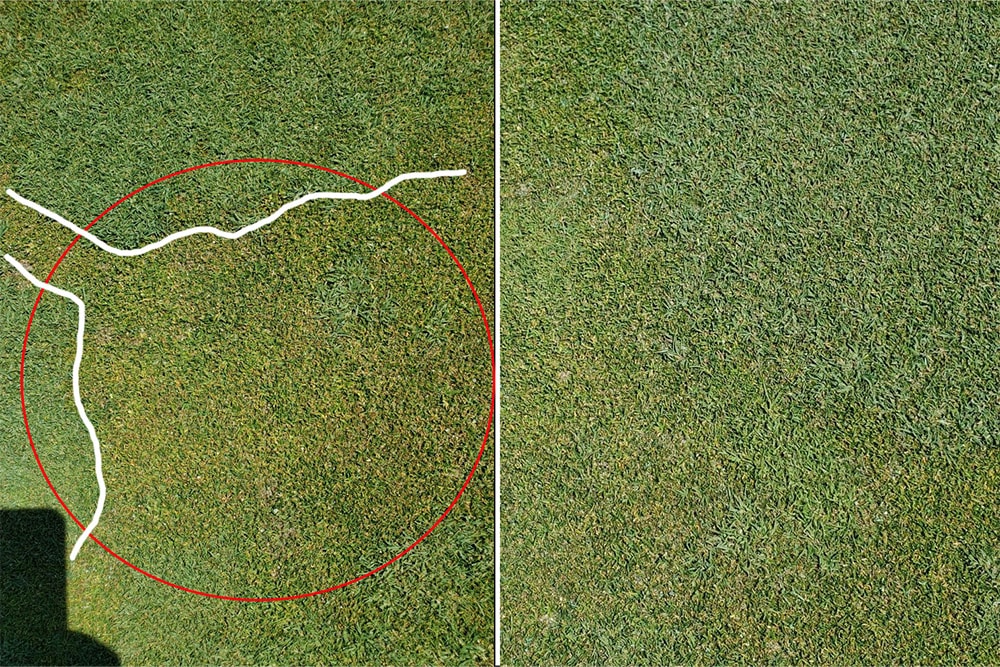 Foundation Forty and Recovery » Foliar-Pak