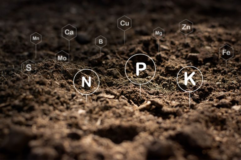 The 17 Essential Nutrients For Turf Growth |Foliar-Pak