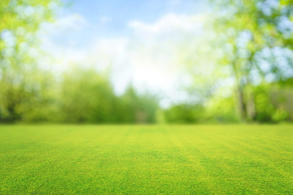 The Importance of Flushing and Replenishing Your Soil | Foliar-Pak