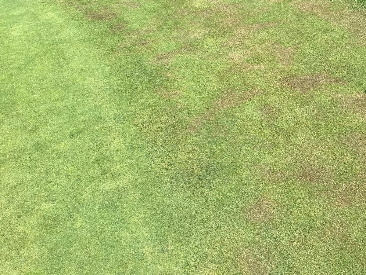 Foliar-Pak LDS Spray Program | Foliar-Pak