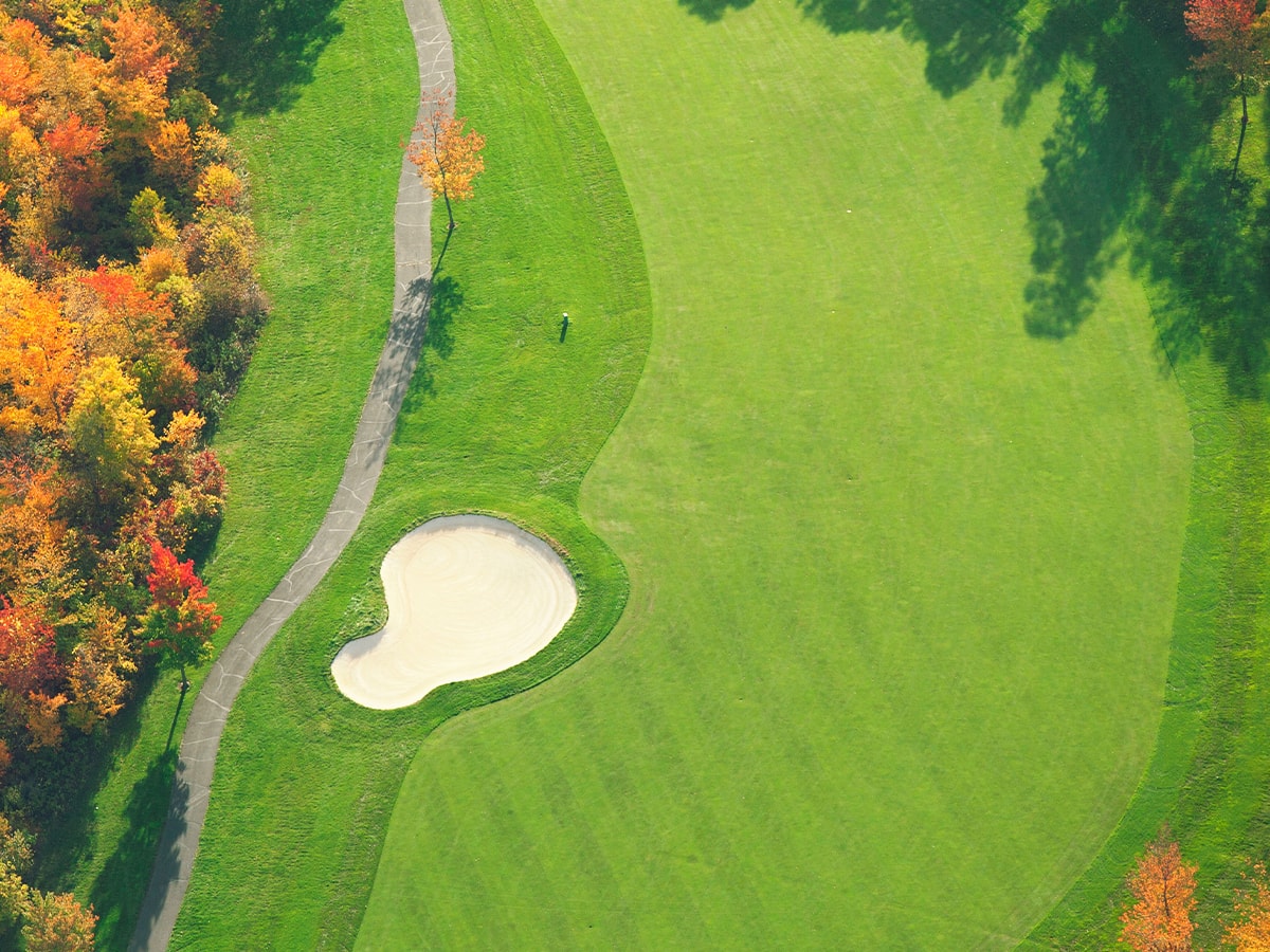 Foliar-Pak Summer Ultradwarf Program | Foliar-Pak